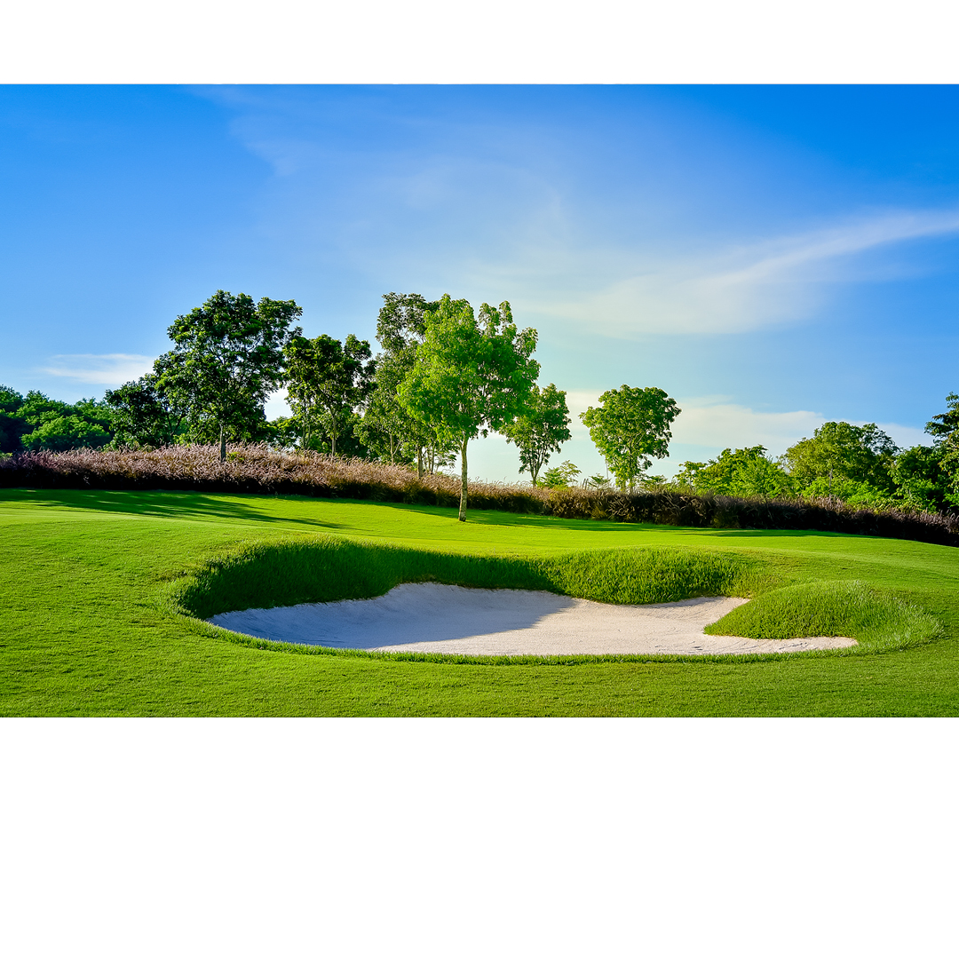 MCCS 2025 Veterans Golf Tournament Series